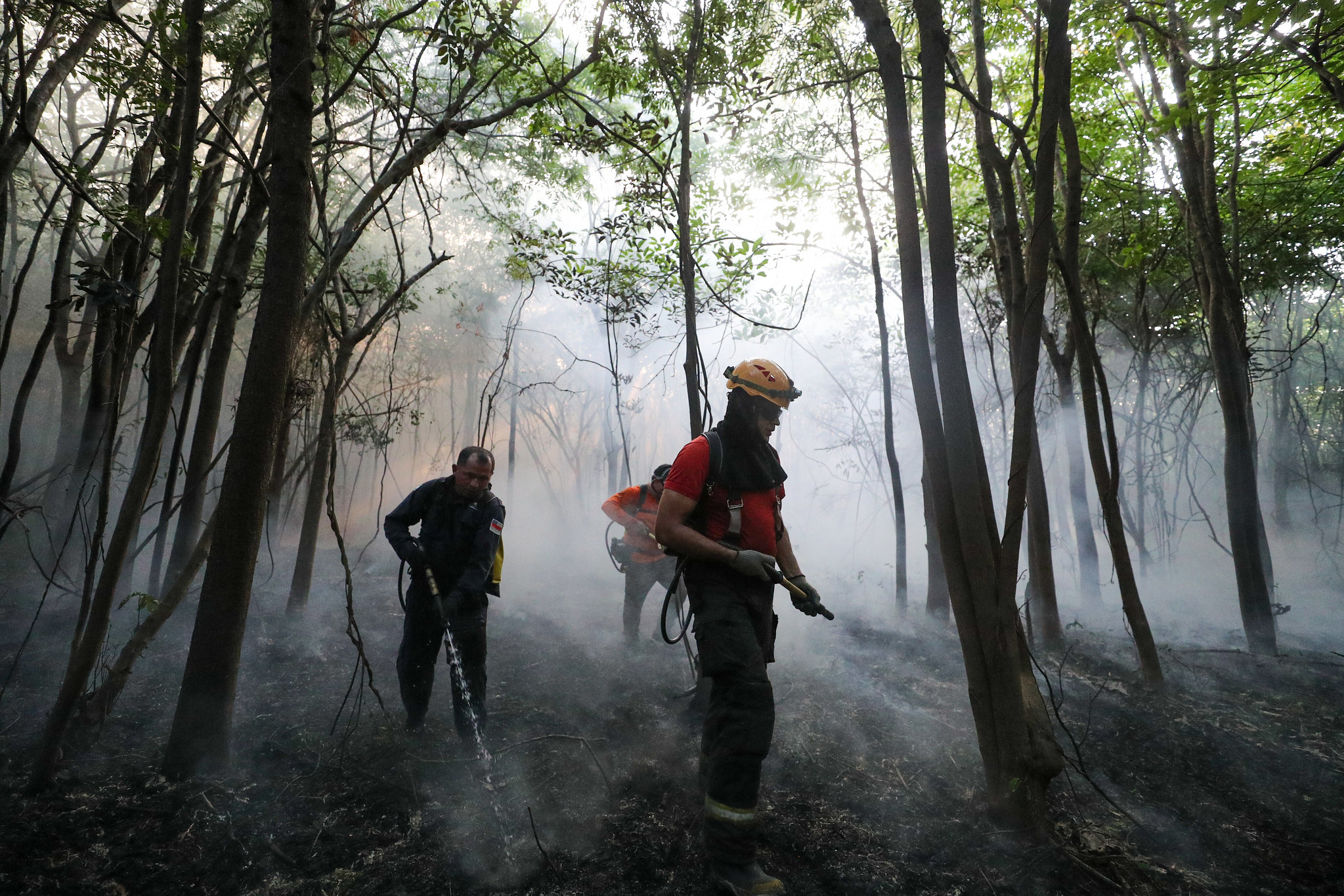 Alerta de incêndios florestais em nove cidades do Amazonas