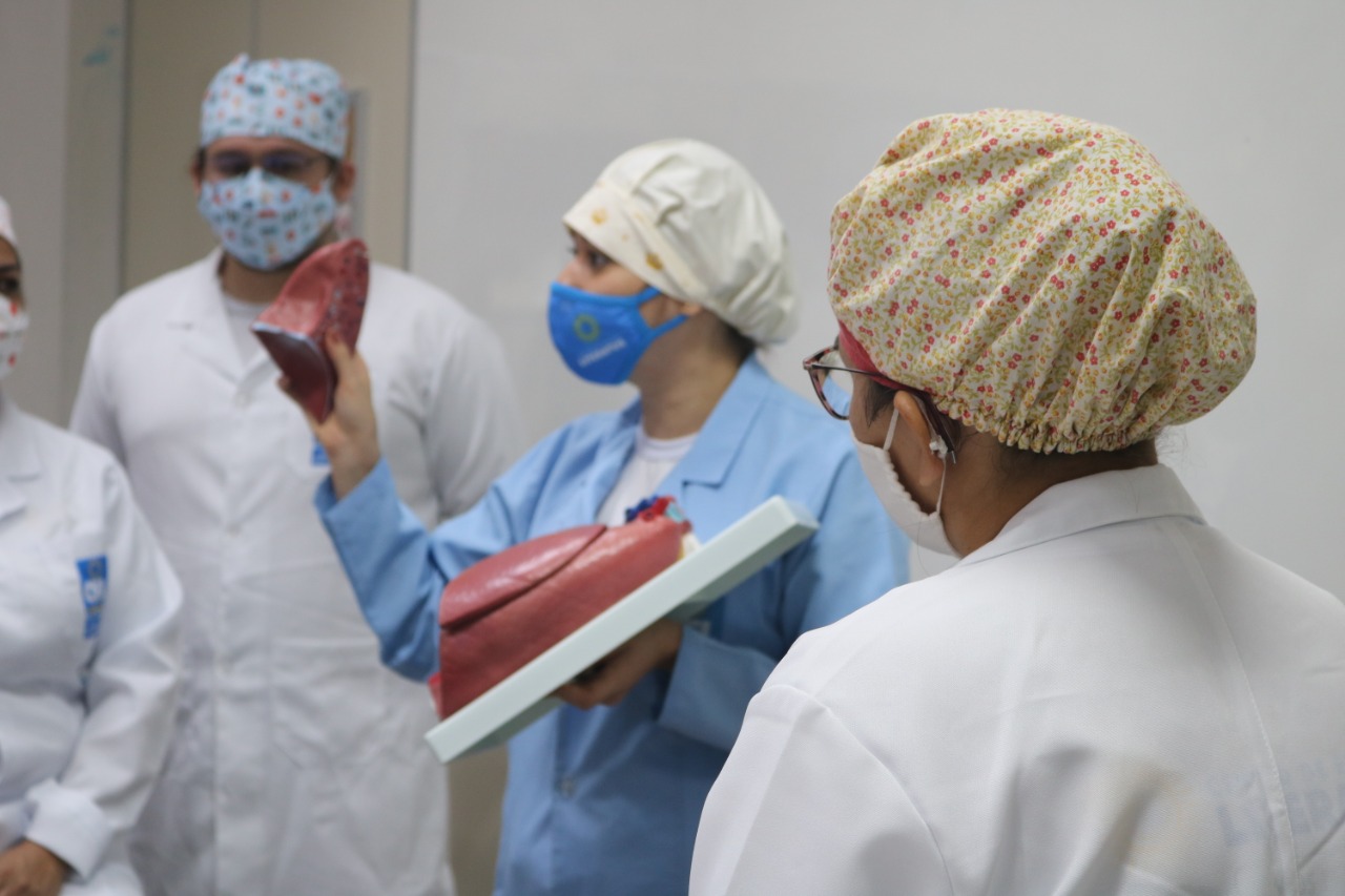 Literatus busca novos talentos para lecionar em 10 áreas